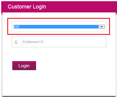 Downloading network licensing tools