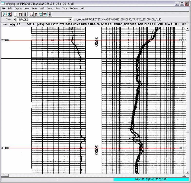 How to use Raster Logs