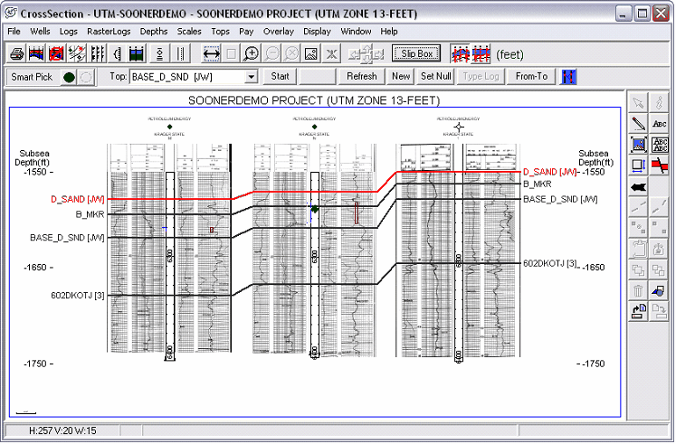 How to use Raster Logs