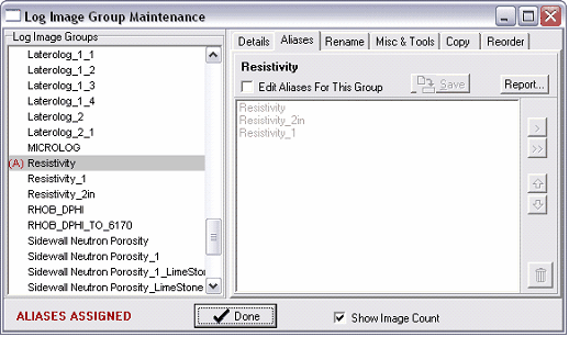 How to use Raster Logs