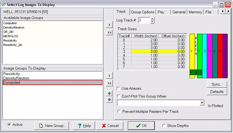 How to use Raster Logs