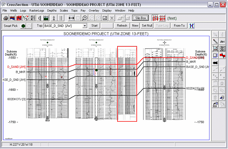 How to use Raster Logs