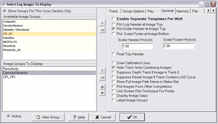 How to use Raster Logs