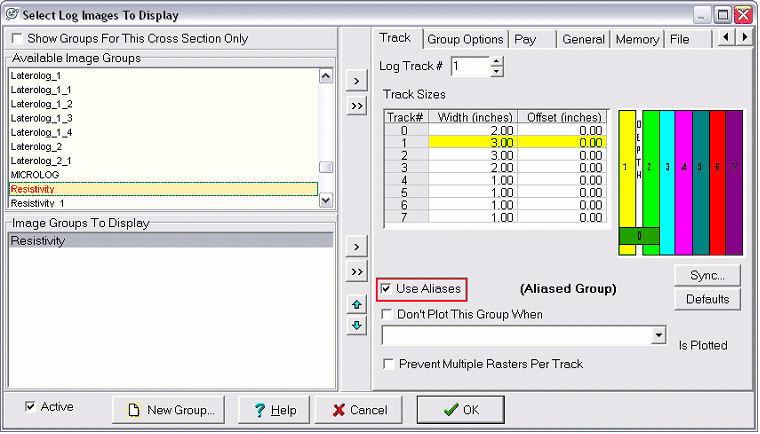 How to use Raster Logs